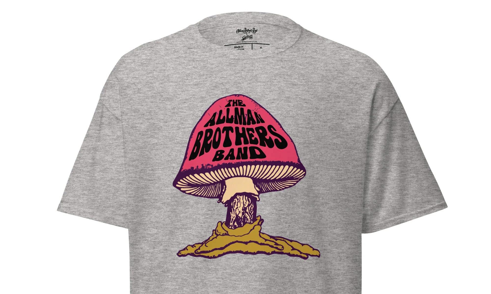 Allman Brothers Band – Where Music Plus Friends Equals Family